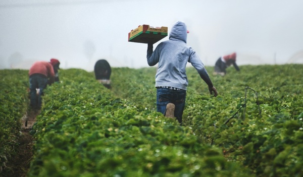 Agribusiness stakeholders congratulate president-elect John Dramani ...